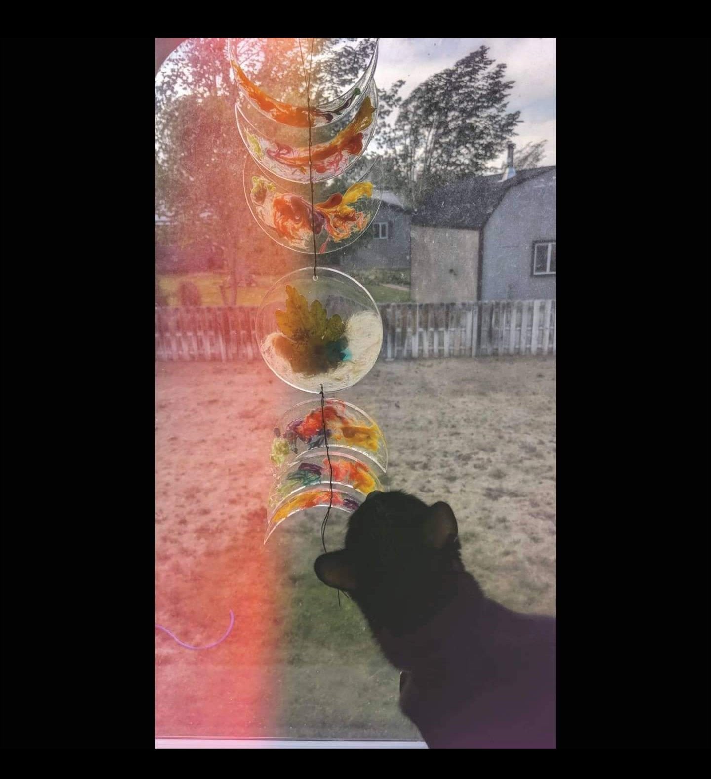 Decor – Black Cat Alchemy Company